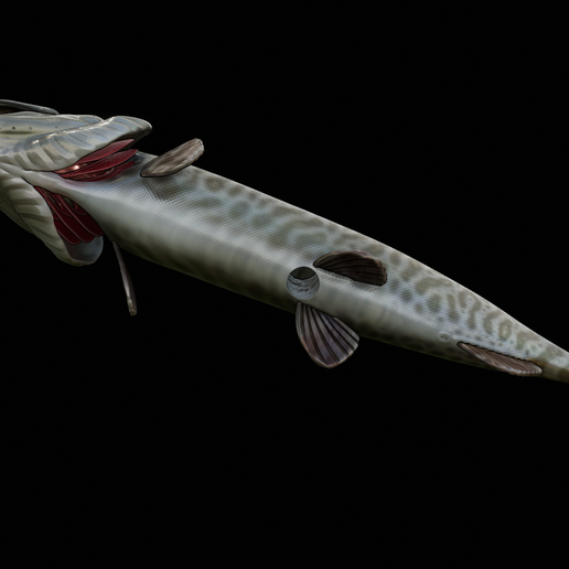 🐠 fish pike muskellunge muskie / Esox masquinongy open mouth statue ...