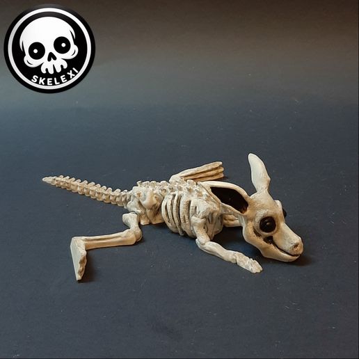💀 Flexi Skeleton Kangaroo・ STL File for 3D printing・Cults