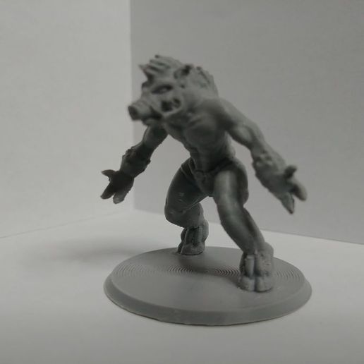 🎲 Wereboar・Free 3D File for ・Cults