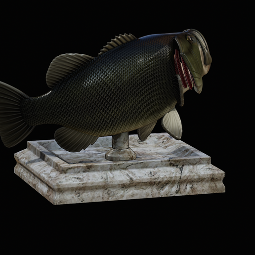 🐠 fish Largemouth Bass / Micropterus salmoides trophy statue detailed ...