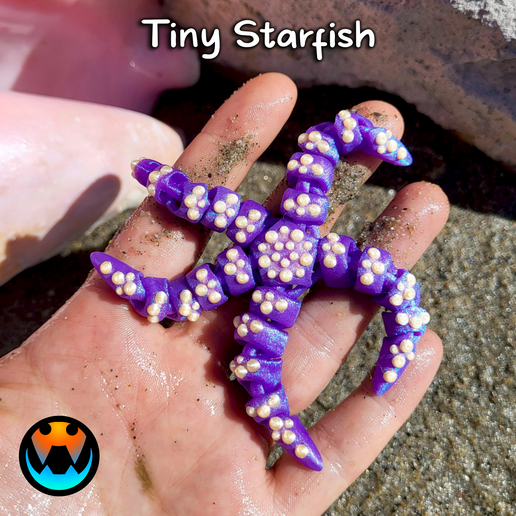 🌊 Tiny Starfish・ 3D File for 3D printing・Cults
