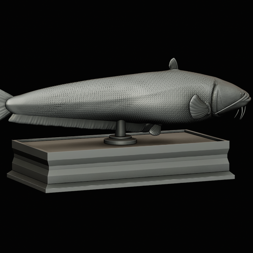 🐠 fish catfish / Silurus glanis with storage space / for 3d printing ...