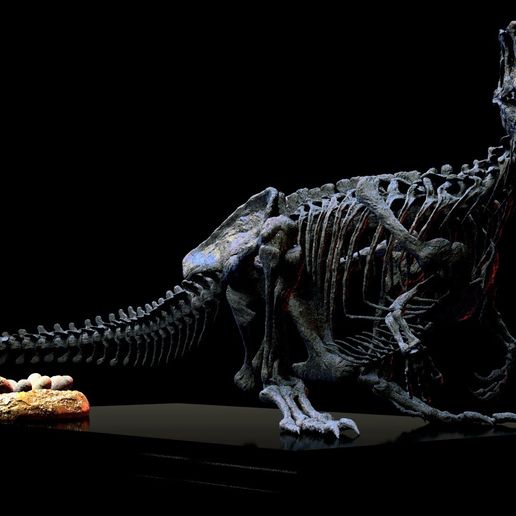 Archivo 3D Allosaurus skeleton with nest 💀 ・Diseño para descargar y ...