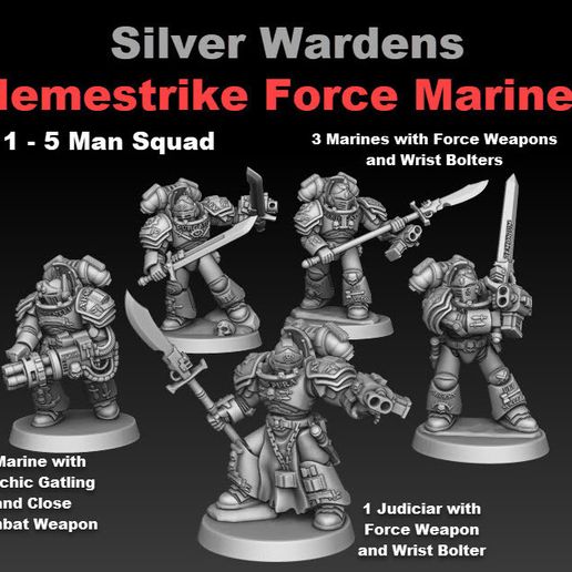🧢 Silver Wardens CAP Kit (presupported)・ 3D File for 3D printing・Cults
