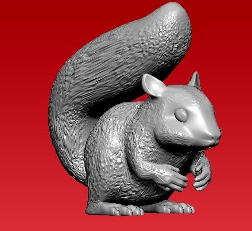 STL file Little squirrel model - 3D print 🐅 ・3D printable design to ...