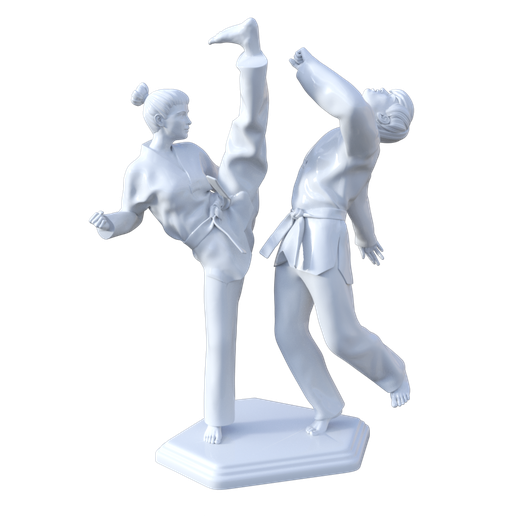 🥋 Taekwondo Lady 3D model・ STL File for ・Cults