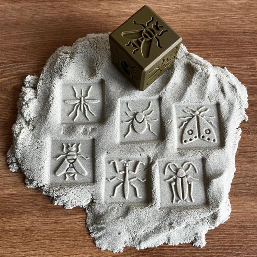 ️ Educational INSECT IMPRESSION Cube for playdough and sensory play ...