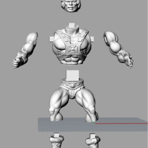 👽 He-Man -The Masters of the universe-・Free 3D File for ・Cults