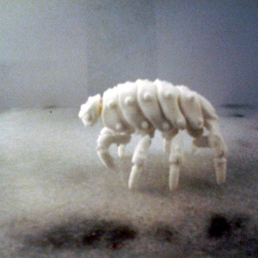 🎨 Articulated Predominant Isopod BJD Kit 3D STL Files with & without ...