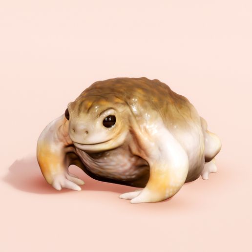 STL file Turtle Frog 🐢 ・3D printable model to download・Cults