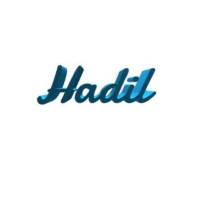 Hadi Logo