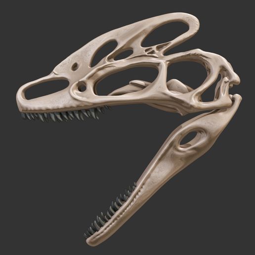 guanlong skeleton