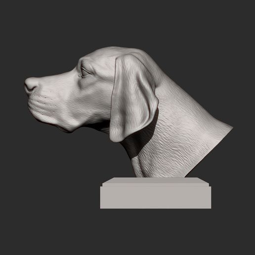 STL file English Pointer bust 3D print model 👤 (OBJ)・3D print design to ...