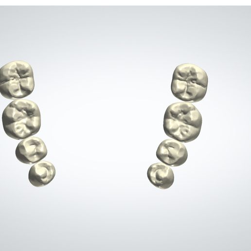 🦷 3Shape Library Molar_Natural_2・ STL File for 3D printing・Cults