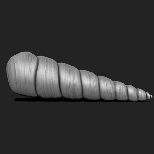 🐚 Shell 2 - 3D Print - Aquarium - Sea Life・ 3D File for ・Cults