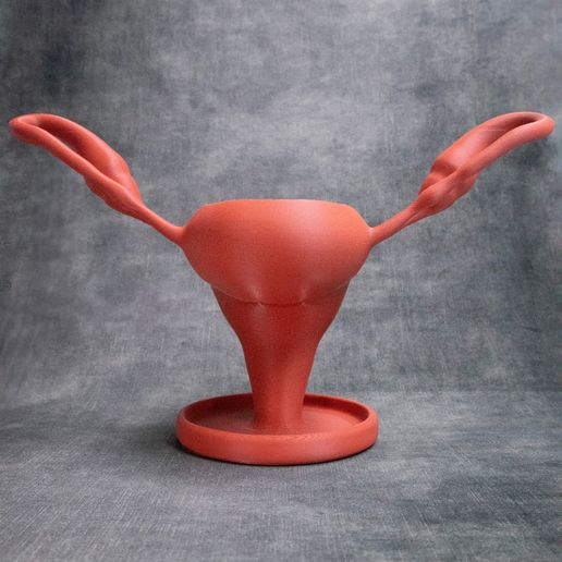 🪴 Uterus Pot (Pre Supported)・ 3D File for 3D printing・Cults