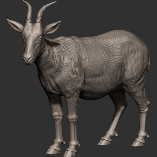 🐄 Animal Kingdom Wildlife set STL Files 3D Printable model・ 3D File for ...
