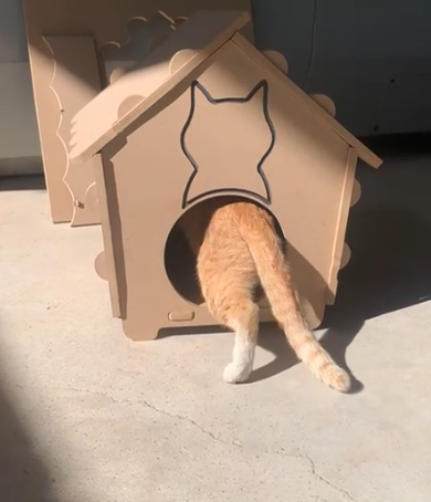 Archivo GCODE CAT HOUSE 🐱 (DXF)・Diseño de impresora 3D para descargar・Cults