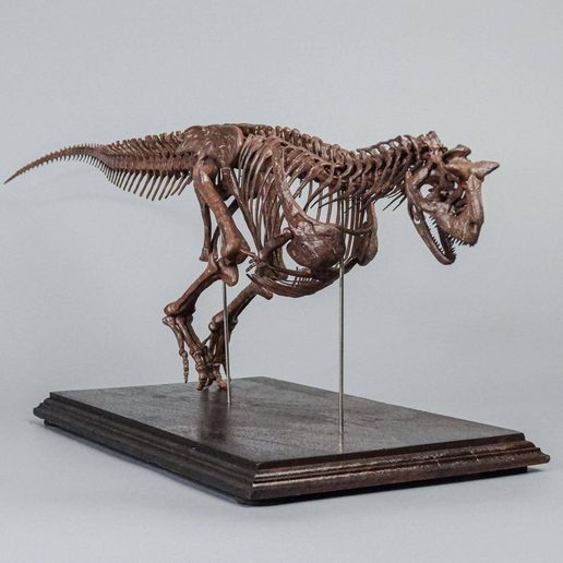 💀 Carnotaurus sastrei Skeleton Model for 3D Printing with joints (For ...