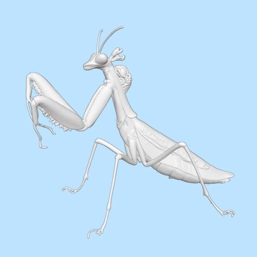🙏 Praying Mantis Ambassador – Envoy of the Luminous Accord・ STL File ...