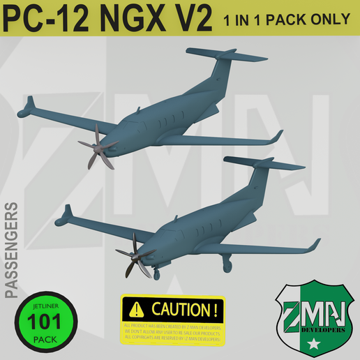 🛩️ PC-12 NGX V2・ STL File for ・Cults