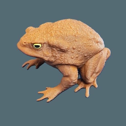 STL file 3D Printable Frog Model - High-Quality STL File for DIY ...
