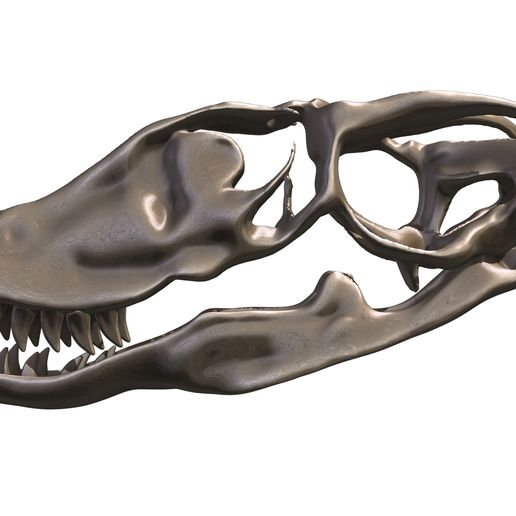 Fichier STL Megalania crâne 🐉 (OBJ)・Design pour imprimante 3D à ...