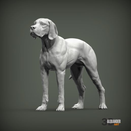 STL file English Pointer 3D print model 👤 (OBJ)・3D printing template to ...