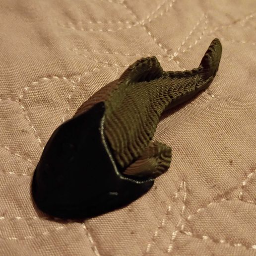 🐠 Zenaspis・Free STL File for 3D printing・Cults