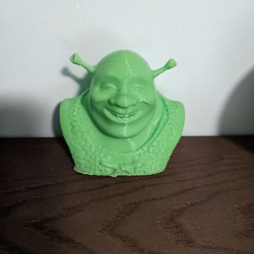 3D printing Shrek Bust • made with Creality Ender 3 v2・Cults