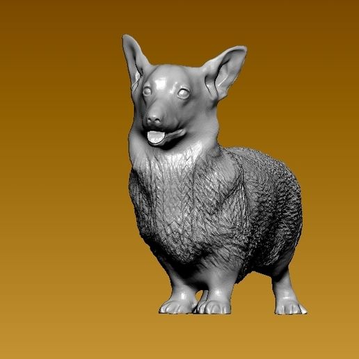 STL file Corgi Dog - terrier model - 3D print 🐕 ・Template to download ...
