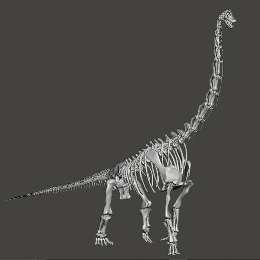 💀 Brachiosaurus / Giraffatitan complete skeleton・ STL File for ・Cults