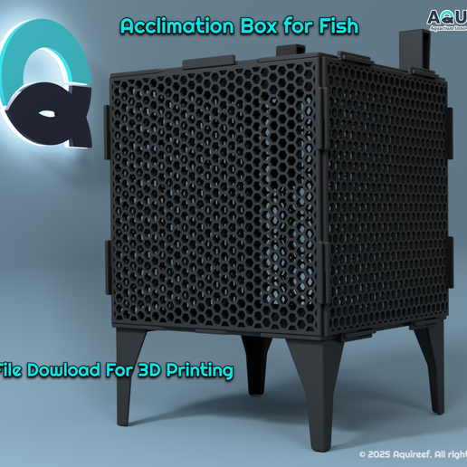 📦 quarium Breeding Box | Fish Fry Isolation Chamber| Acclimation Box ...