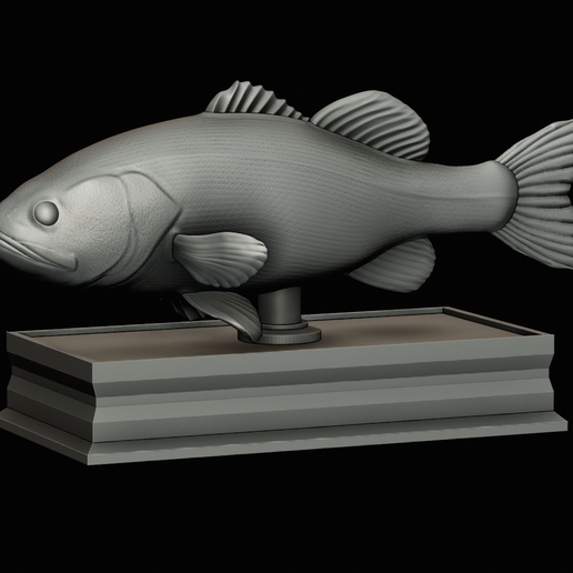 🐠 fish Largemouth Bass / Micropterus salmoides with storage space / for ...