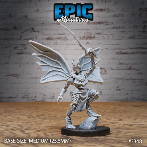 3D file Moth Folk Warrior ‧ DnD Miniature ‧ Tabletop Miniatures ...