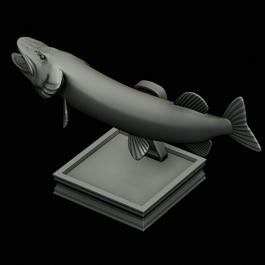 STL file fish pike muskellunge muskie / Esox masquinongy in motion 2 ...