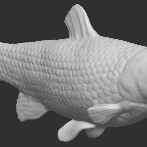 🌱 Grass carp fish 3D model ready for 3D printing・ STL File for 3D ...
