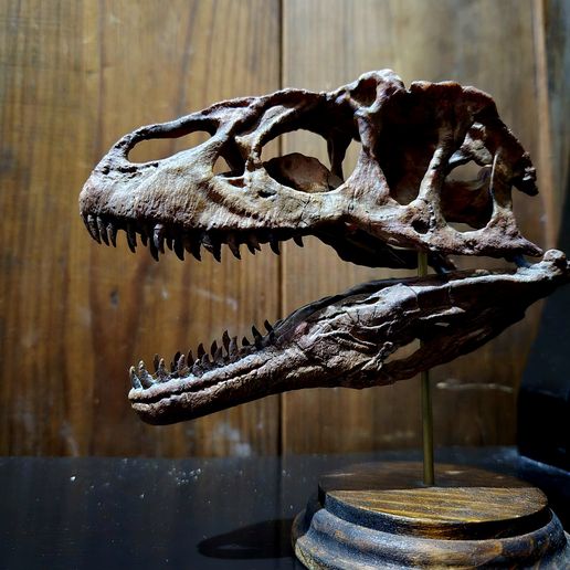 💀 ALLOSAURUS SKULL・ 3D File for 3D printing・Cults