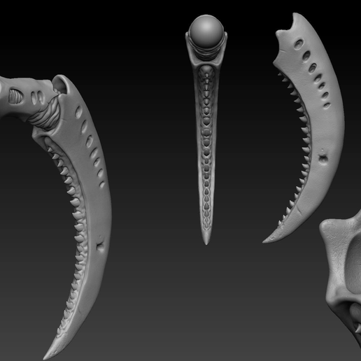 👽 Screamer claws・ STL File for ・Cults