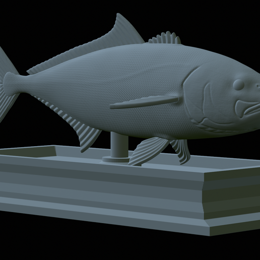 STL file fish greater amberjack / Seriola dumerili statue detailed ...