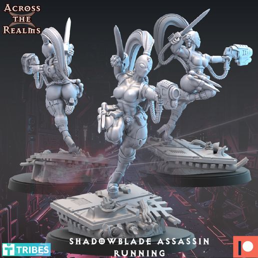 🏃 Shadowblade Assassin - Running・ 3D File for 3D printing・Cults