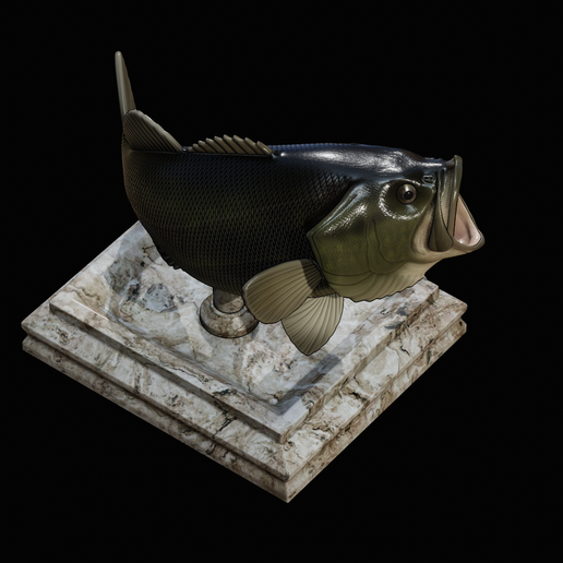 🐠 fish Largemouth Bass / Micropterus salmoides trophy statue detailed ...