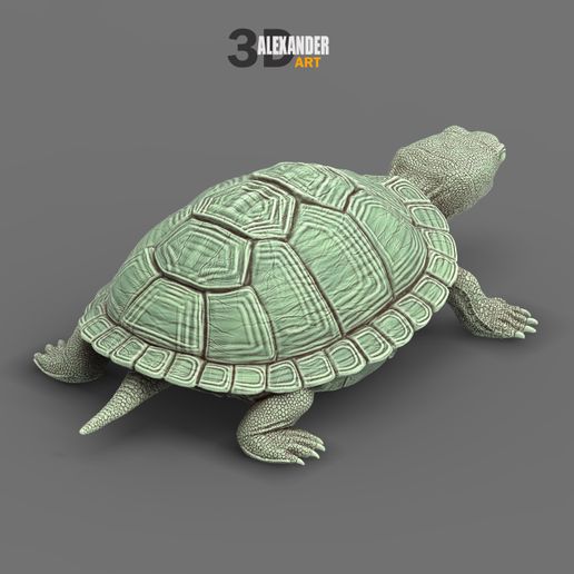 🐢 red-eared slider turtle 3D print model・ STL File for 3D printing・Cults