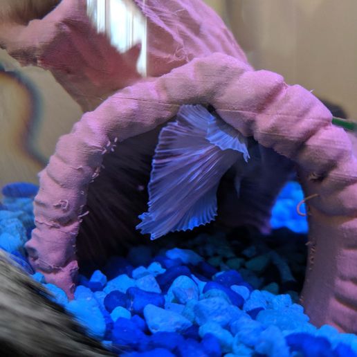 🐠 Pet Log for Fish Tank・Free STL File for ・Cults