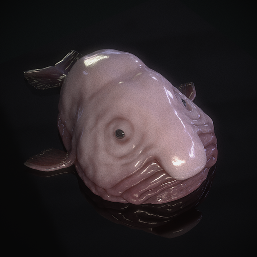 🐠 blobfish・ STL File for 3D printing・Cults