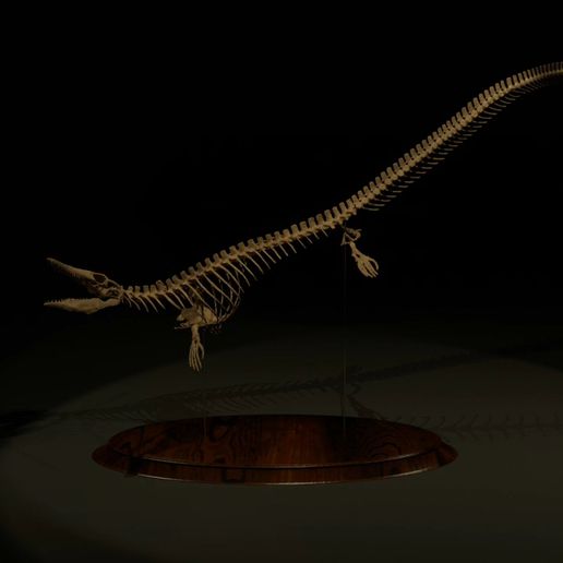 3D file MOSASAURUS TYLOSAUR SKELETON PART C 💀 ・3D printing idea to ...