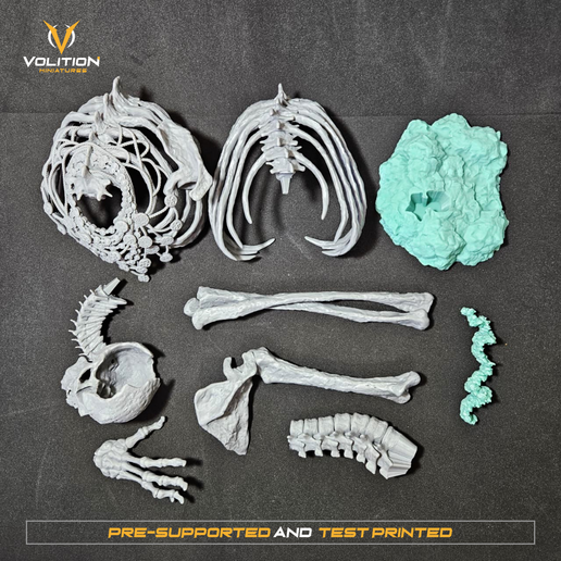 💍 Sebastian | Figure | Elden Ring Nightreign FAN ART・ 3D File for 3D ...