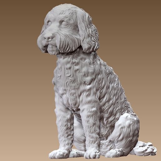 🐕 Dog Statue - Dexter the Cockapoo statue - 3D print・ 3D File for 3D ...