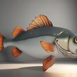 🐠 Realistic Catfish 1 – 3D Printable Freshwater Fish Model・ STL File ...