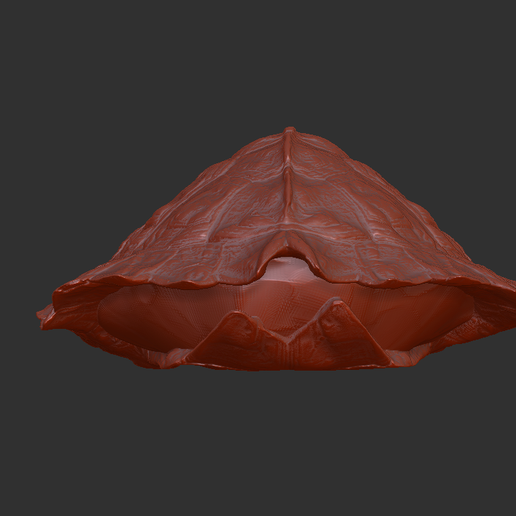 OBJ file Giant tortoise shell 🐚 ・3D printer design to download・Cults